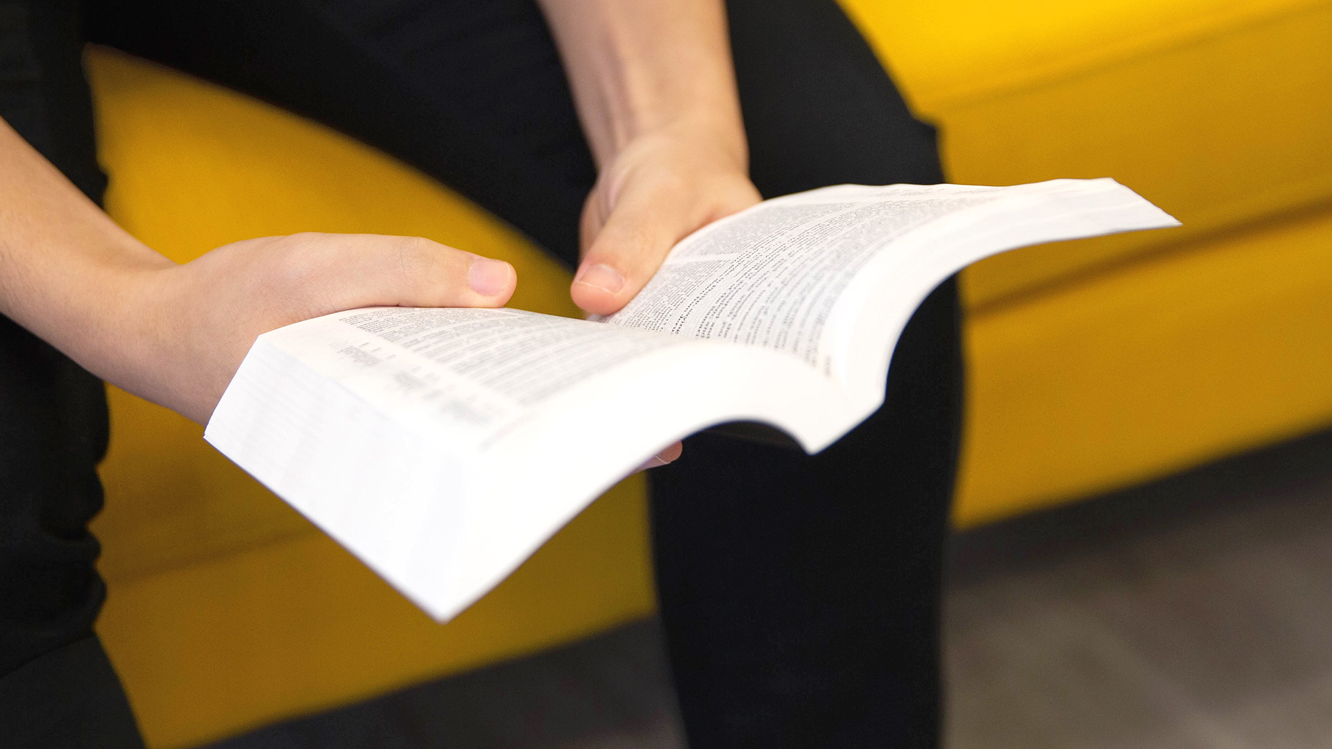 Siete razones convincentes para leer la Biblia | Blog de Bibles for America